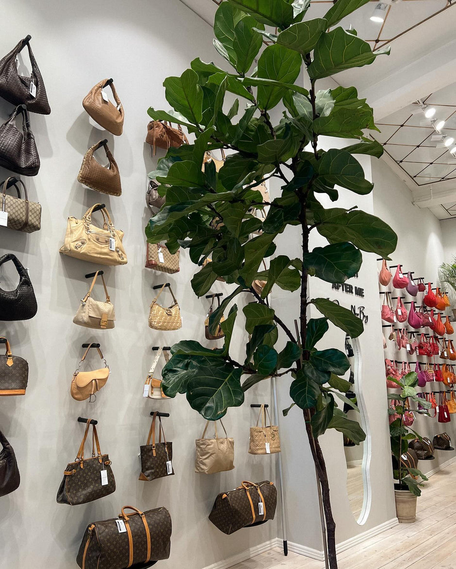 Who owns Louis Vuitton, Dior and Fendi? Meet Bernard Arnault ...